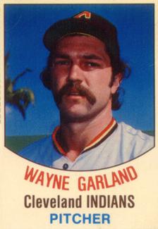 1977 Hostess #144 Wayne Garland Value Baseball | Collectibles.com