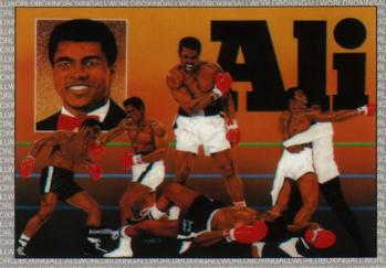1991 All World Boxing Cards: Value, Trading & Hot Deals | Cardbase